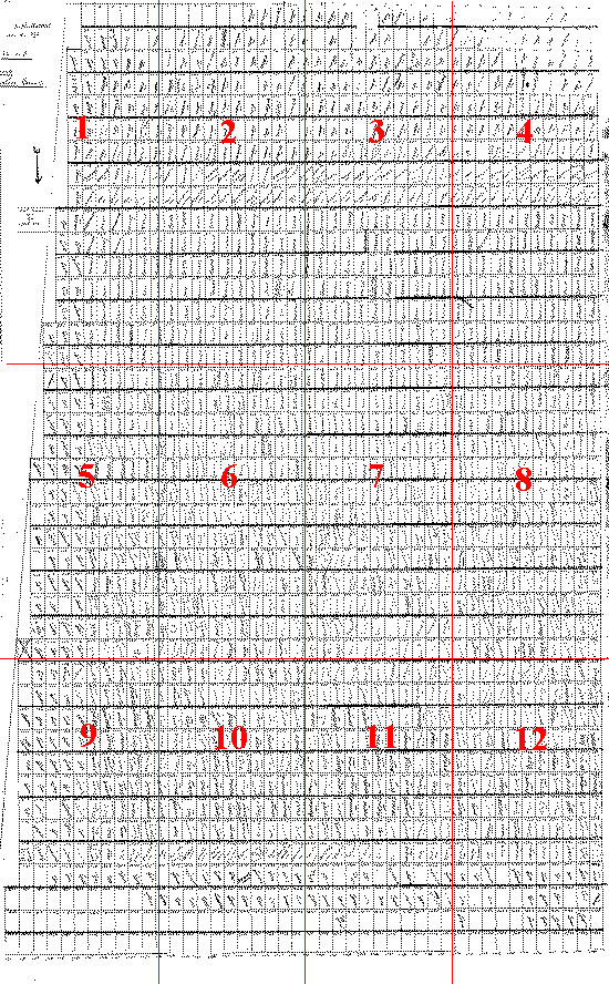 Sunderland City Council